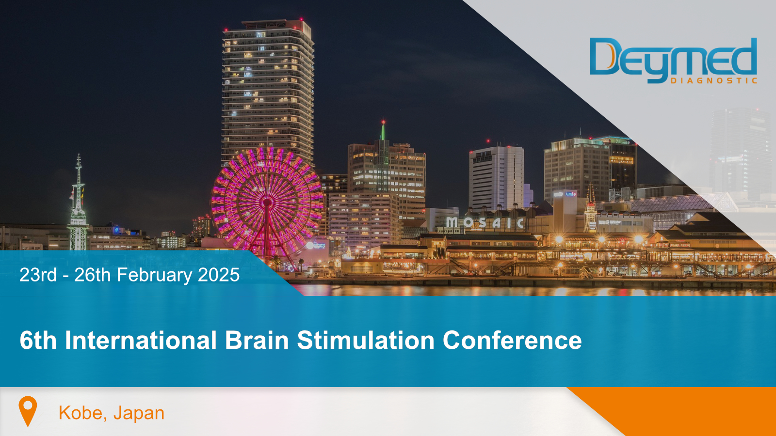 6th International Brain Stimulation Conference 2025 | News | DEYMED ...